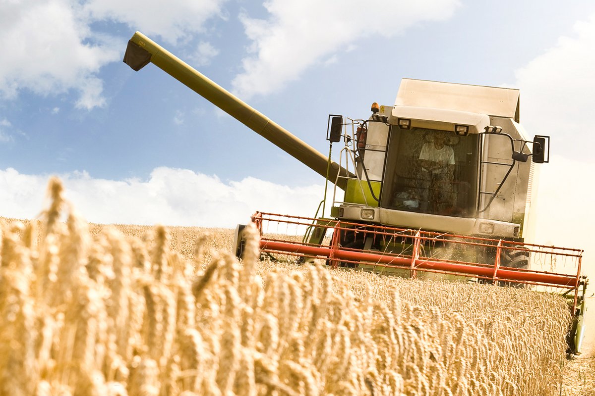 Wear-resistant steel strip for agricultural machinery